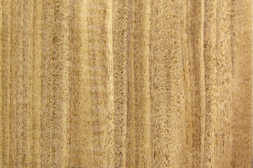 Rough Sawn Planks (Green and Kiln Dried) | Timeless Timber